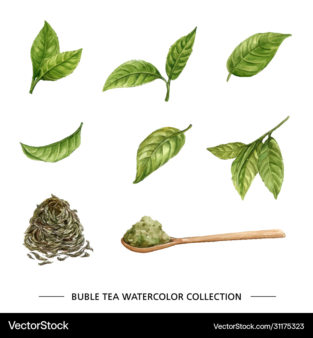 Free Tea Leaves Vector Images (over 180)