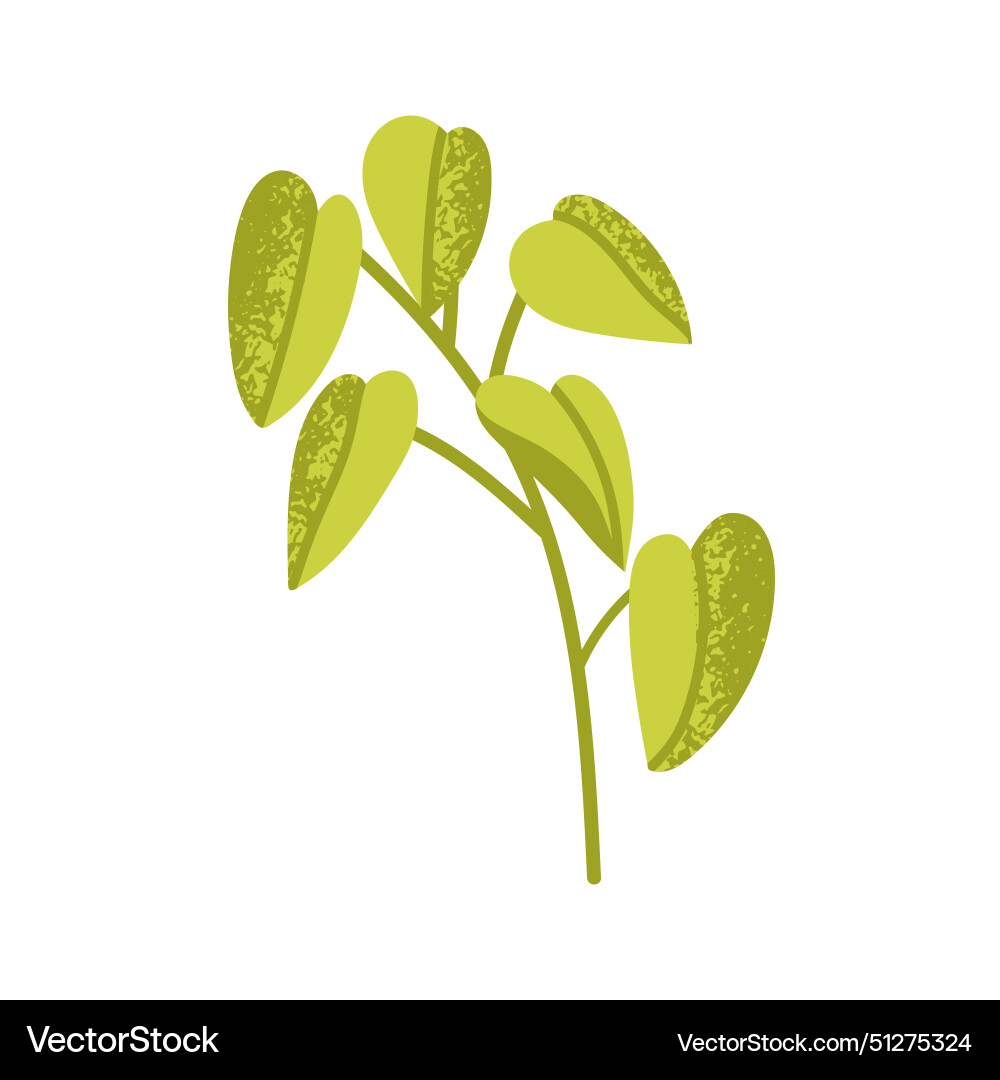 Leaf branch plant green leaves greenery Royalty Free Vector