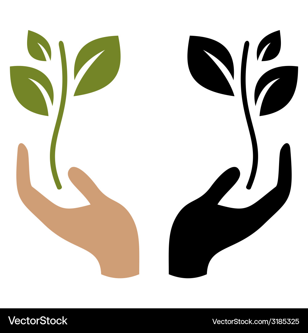 Hand Holding a Sprout – Royalty-Free Vector | VectorStock