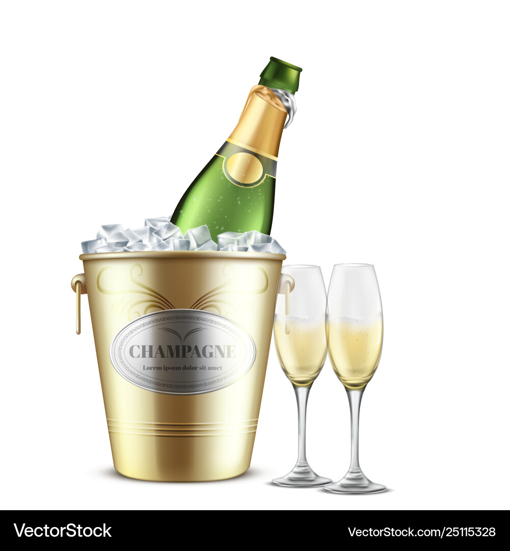 Opened champagne bottle in bucket with ice Vector Image
