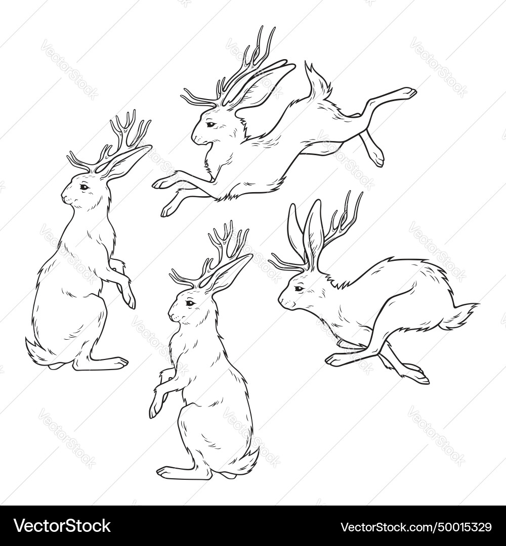 Jackalope hare with horns folklore magic animals Vector Image