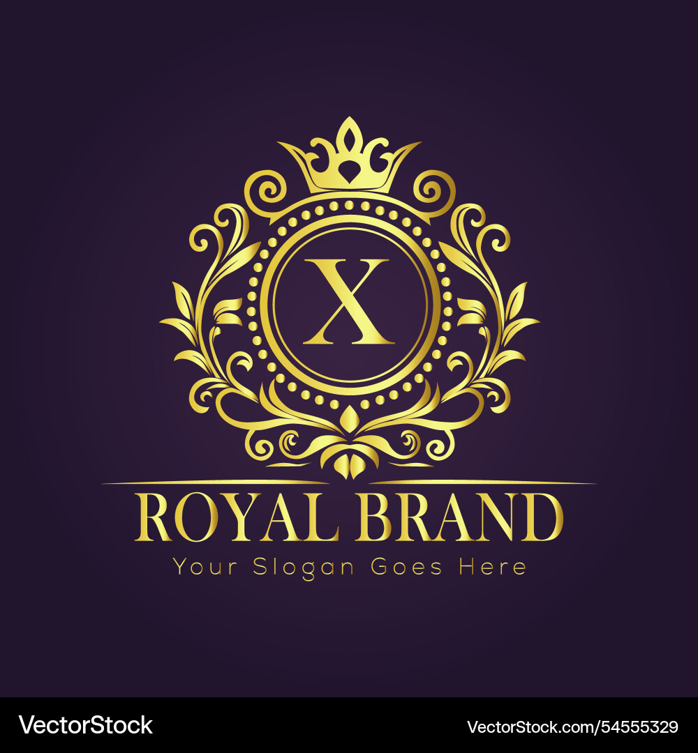 Letter x luxury gold logo concept Royalty Free Vector Image