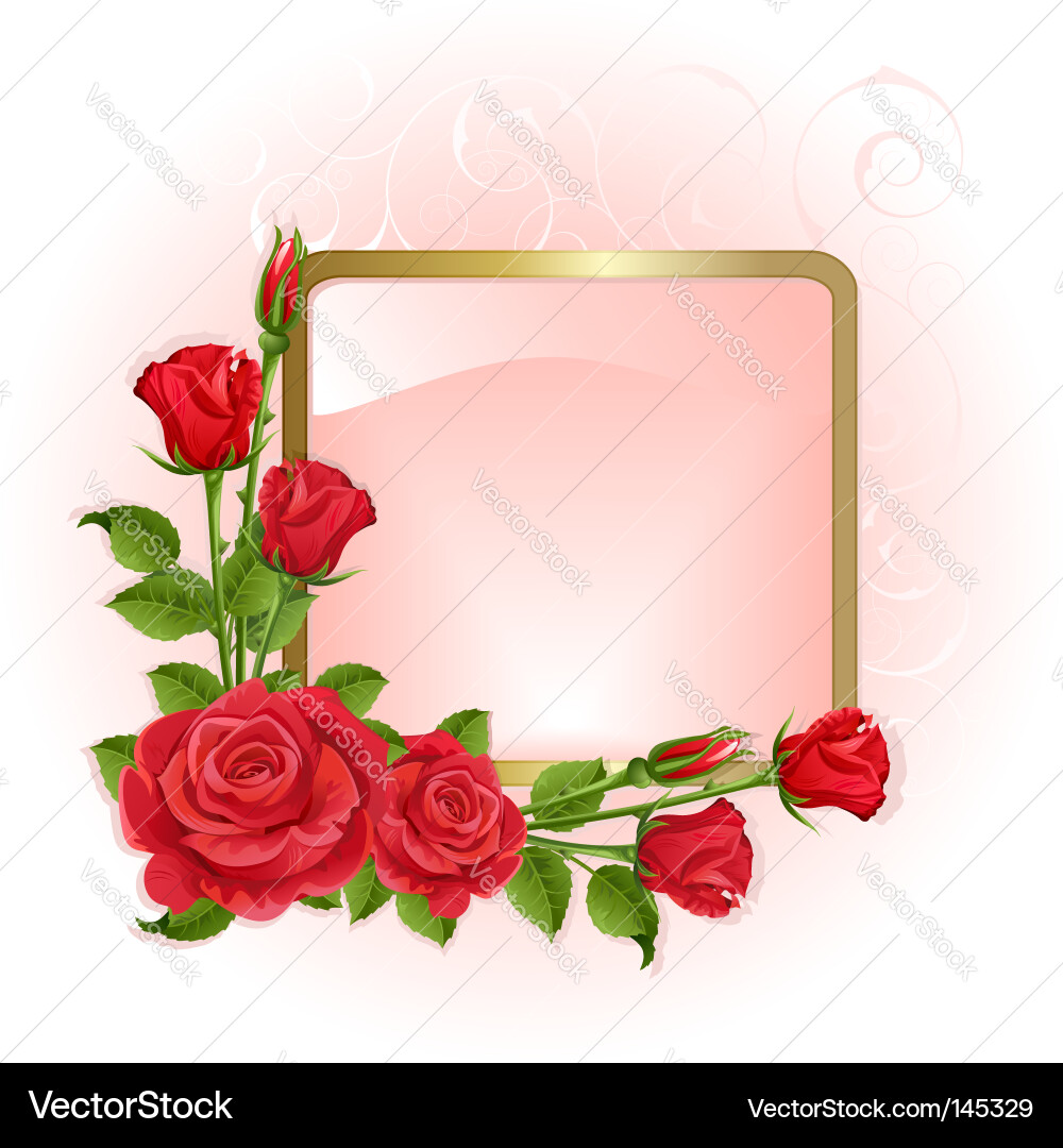 Roses Royalty Free Vector Image - VectorStock