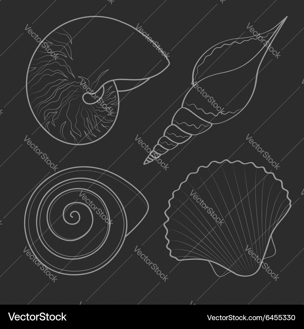Stylized Seashell Collection Royalty Free Vector Image