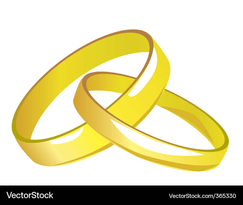 Two gold wedding rings Royalty Free Vector Image