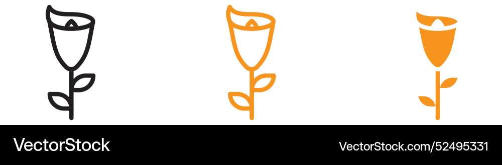 Calla lily icon set elegant flower for botanical Vector Image