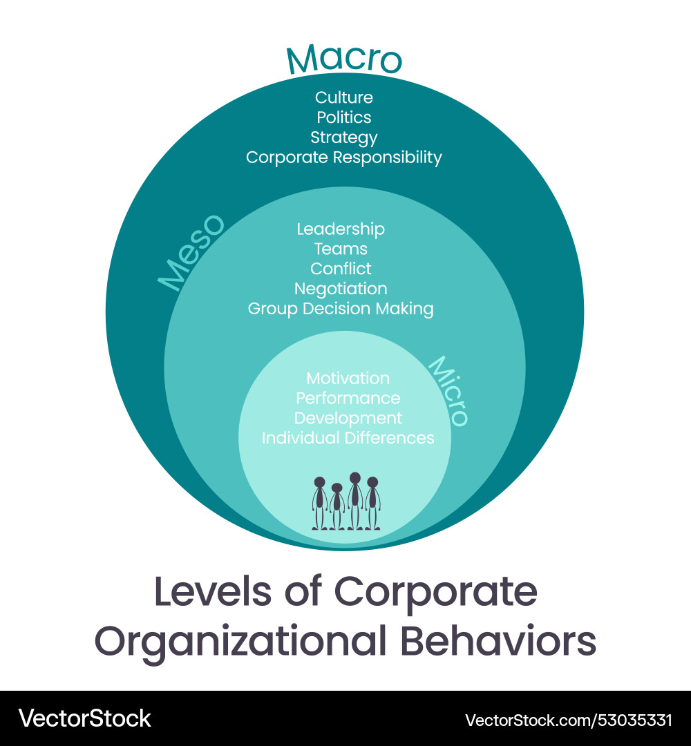 Macro meso micro corporate ob Royalty Free Vector Image
