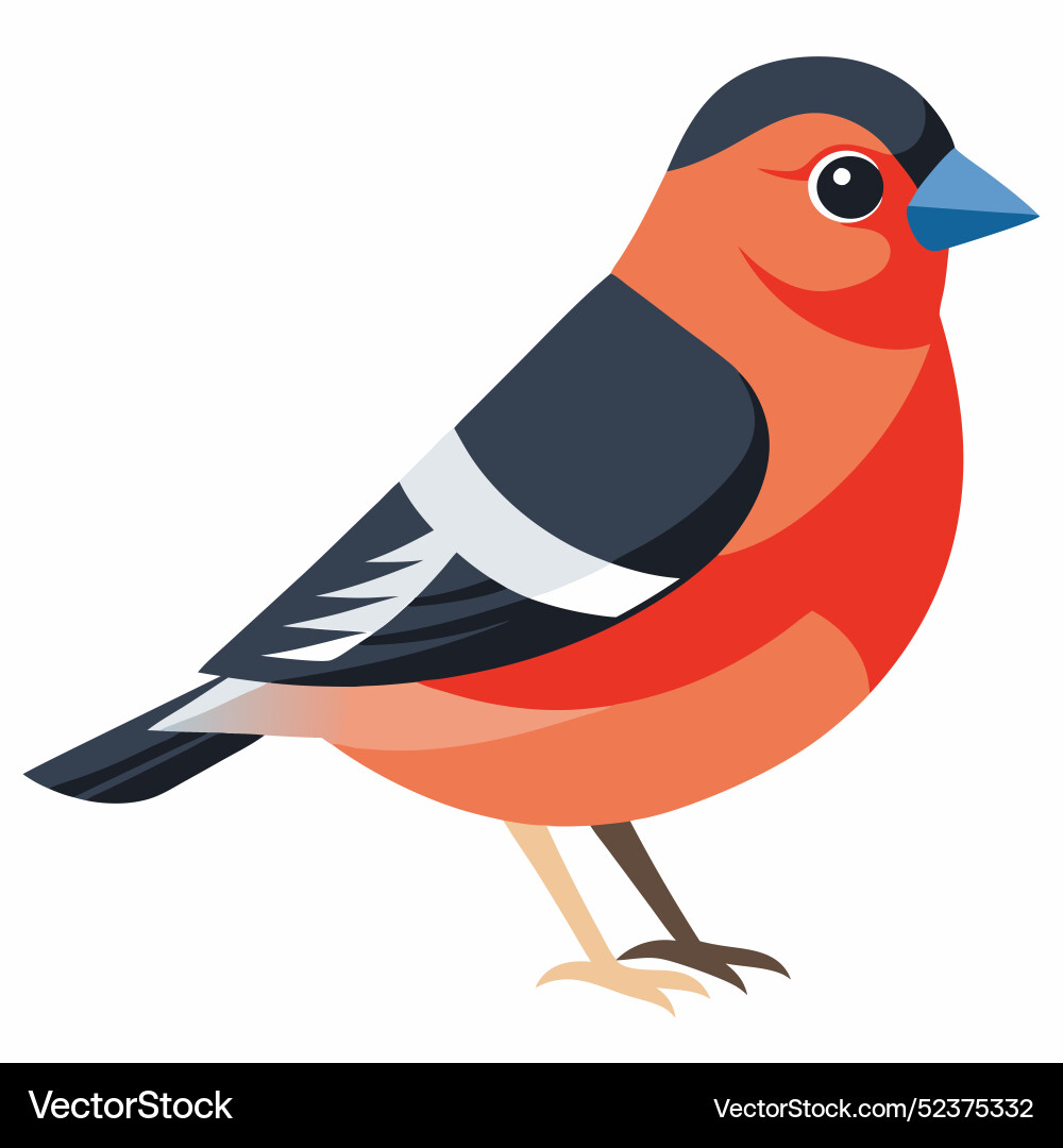Chaffinch bird sits kawaii Royalty Free Vector Image