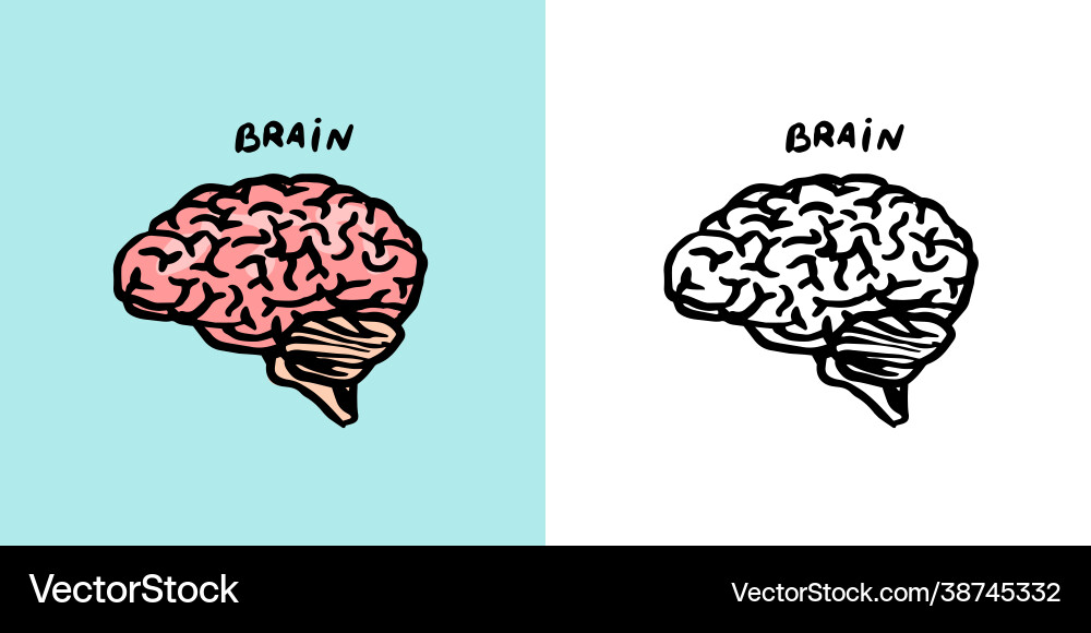 Human brain nervous system retro Royalty Free Vector Image