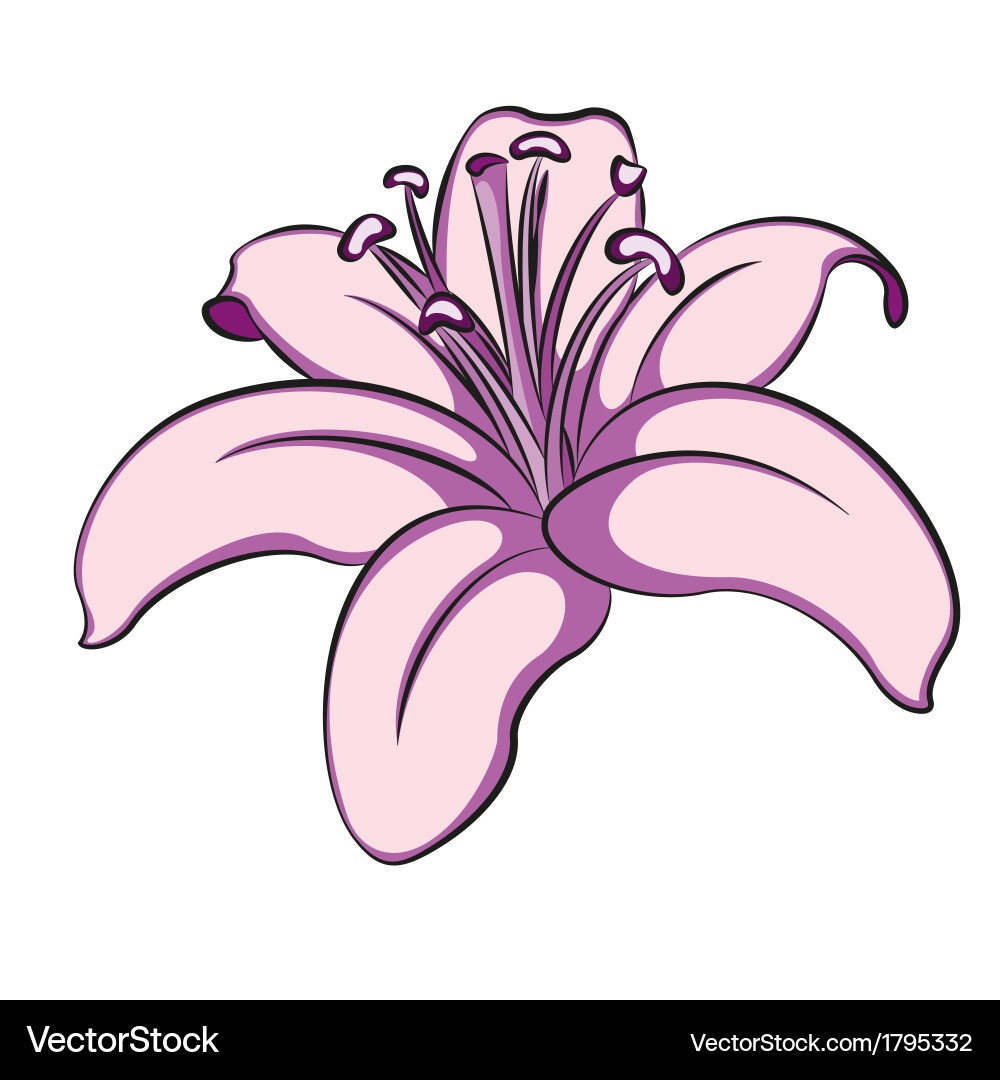 Lili Royalty Free Vector Image - VectorStock
