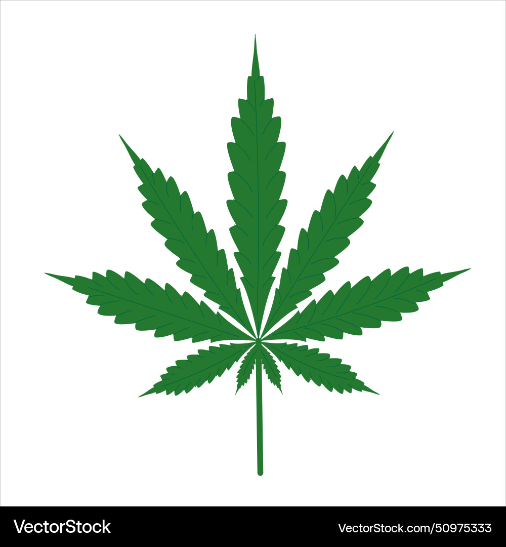 Cannabis leaf clipart isolated Royalty Free Vector Image