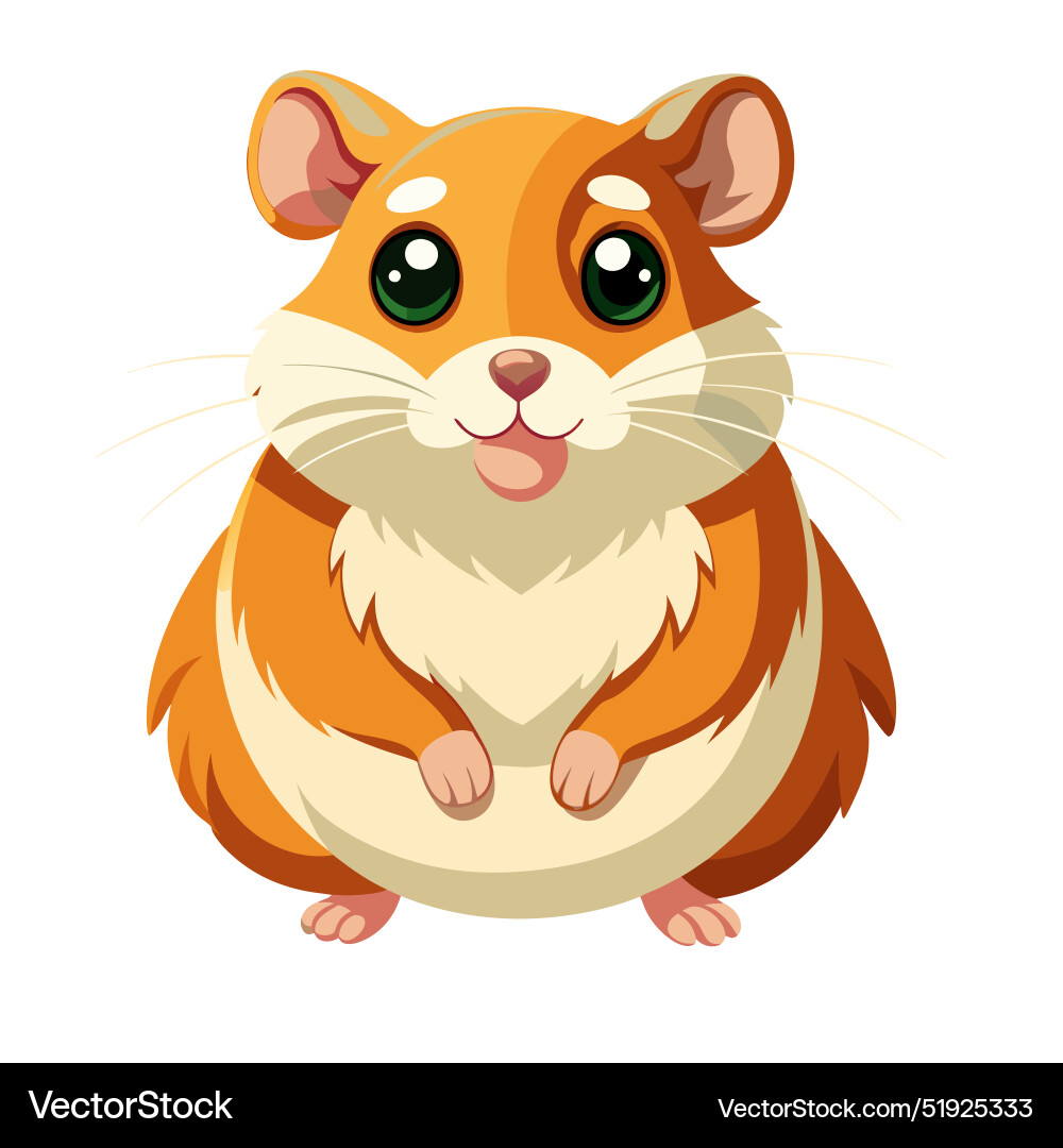 Hamster cartoon Royalty Free Vector Image - VectorStock