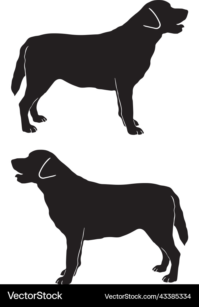 Labrador Retriever Silhouette Royalty Free Vector Image