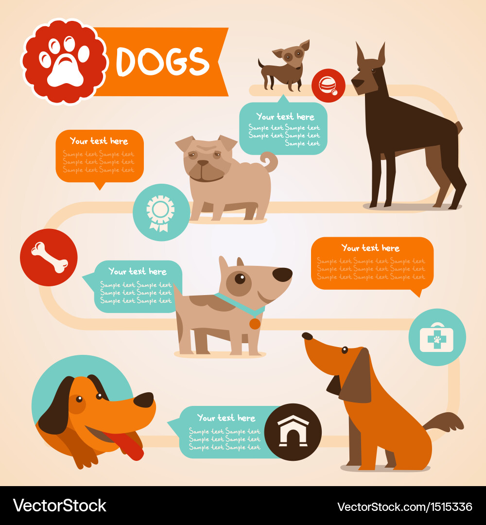 Dogs infographics Royalty Free Vector Image - VectorStock
