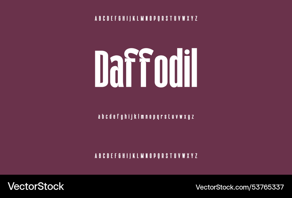 Modern bold font sans serif regular italic Vector Image