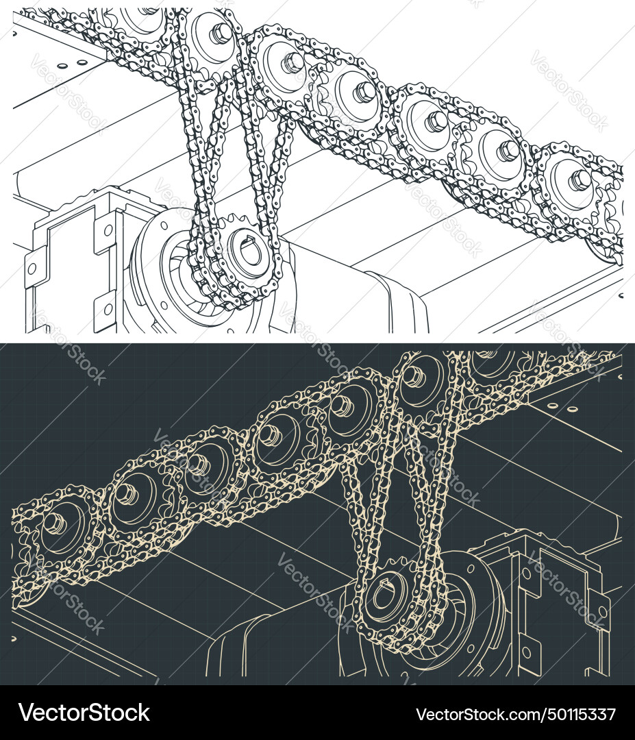 Roller conveyor with chain drive structure Vector Image