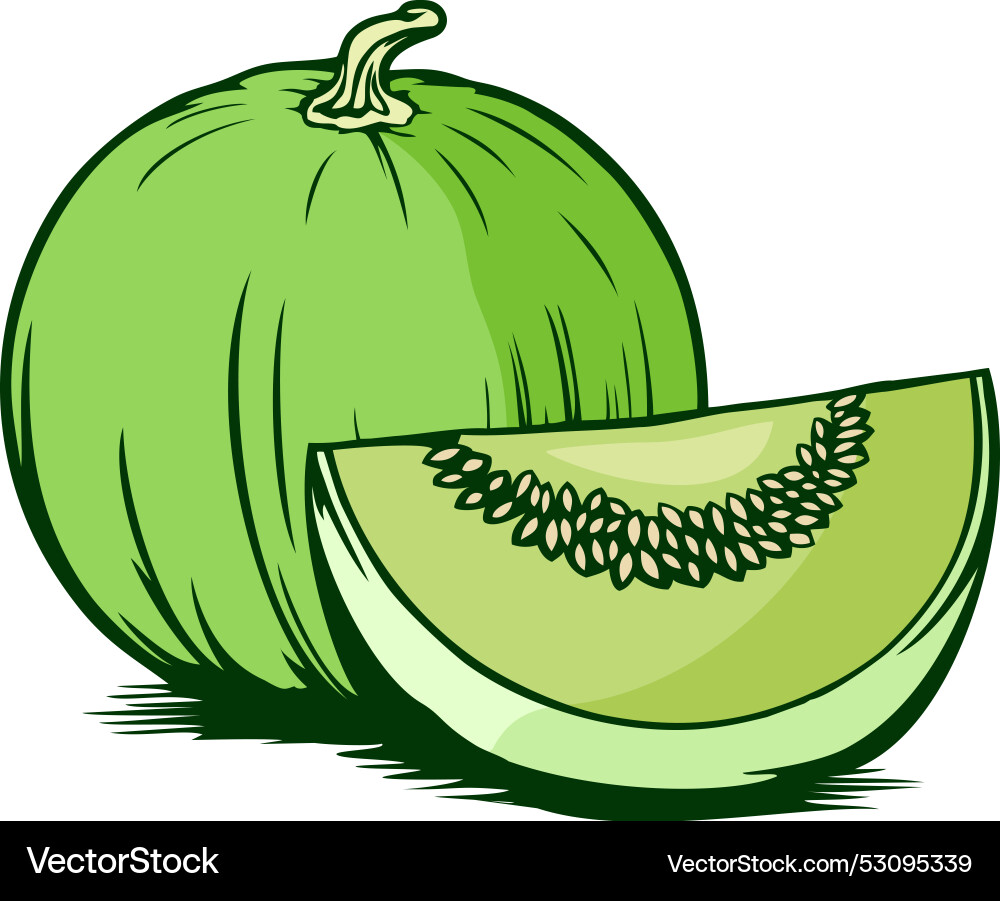 Classic hand drawing melon fruit Royalty Free Vector Image