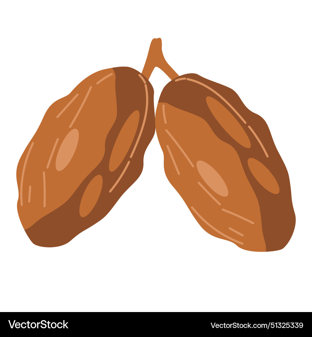 Date fruit two dates fruits Royalty Free Vector Image