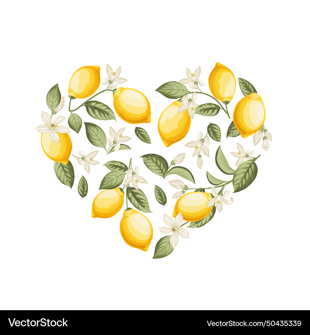 Lemon hearts hand-drawn citrus Royalty Free Vector Image