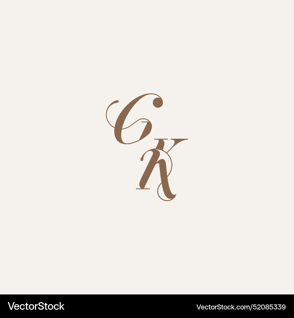 Luxury and elegant initial monogram logo letter Vector Image