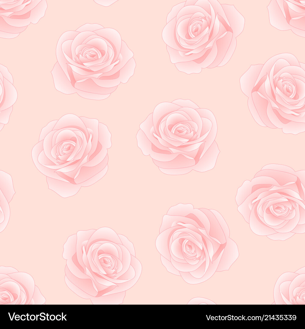 Pink rose - rosa on background Royalty Free Vector Image