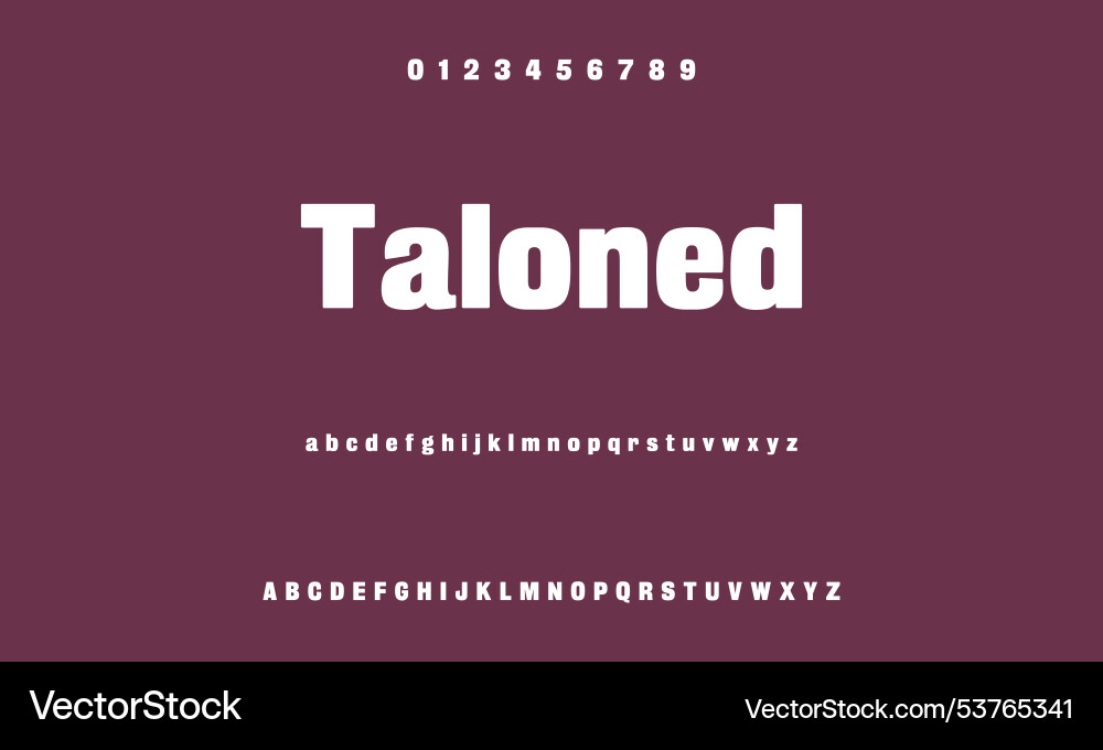 Modern bold font sans serif regular italic Vector Image