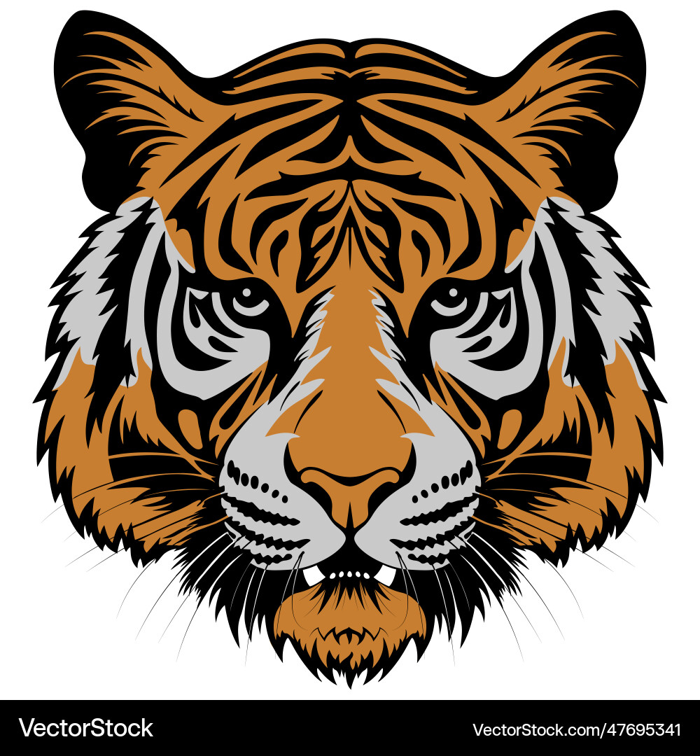 Tiger face logo design for emblem Royalty Free Vector Image