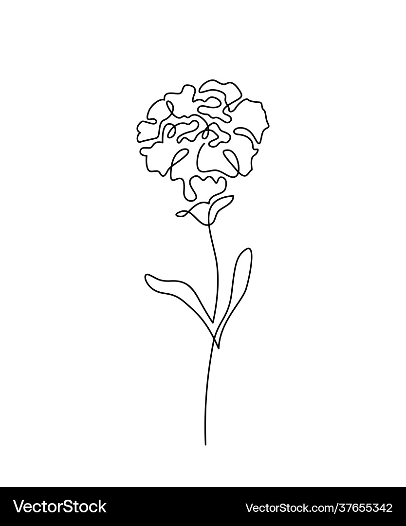 Carnation flower in simple Royalty Free Vector Image