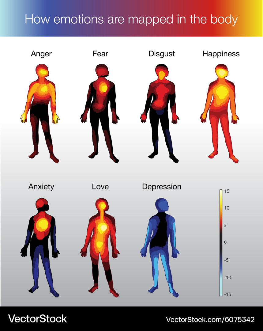 Human Emotion Heat Map Royalty Free Vector Image