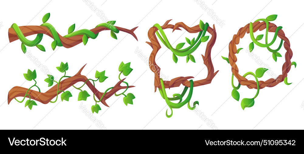 Jungle liana vine - long branches and frame Vector Image