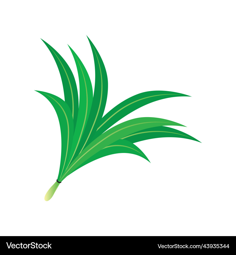 Pandan leaf icon free Royalty Free Vector Image Pandan leaf icon free Royalty Free Vector Image