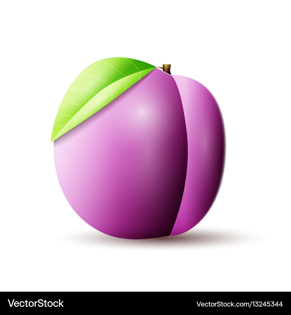 Plums icon Royalty Free Vector Image - VectorStock