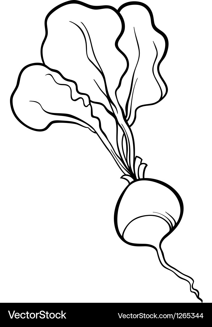 Radish vegetable cartoon for coloring book Vector Image