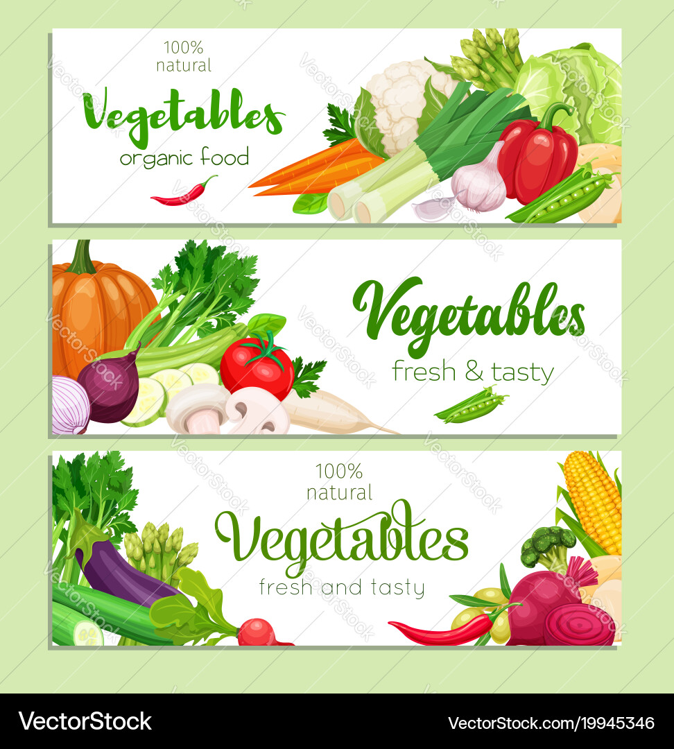 Banners vegetables Royalty Free Vector Image - VectorStock