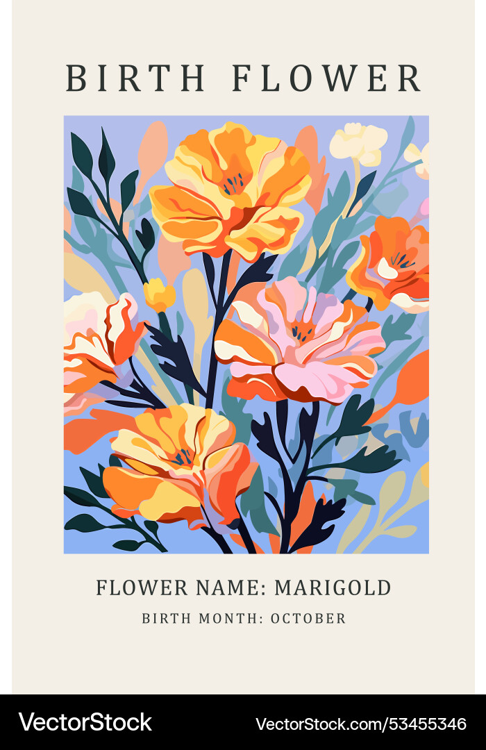 Birth flower marigold october month Royalty Free Vector