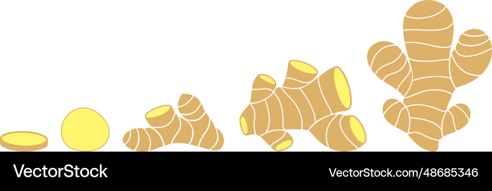 Ginger Royalty Free Vector Image - VectorStock