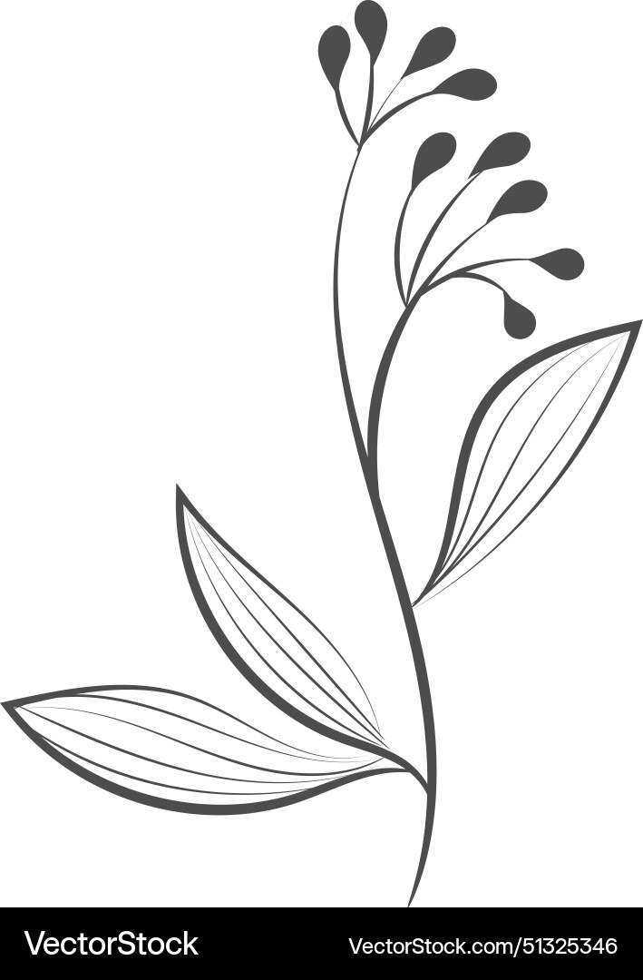 Line flower and leaves for print Royalty Free Vector Image