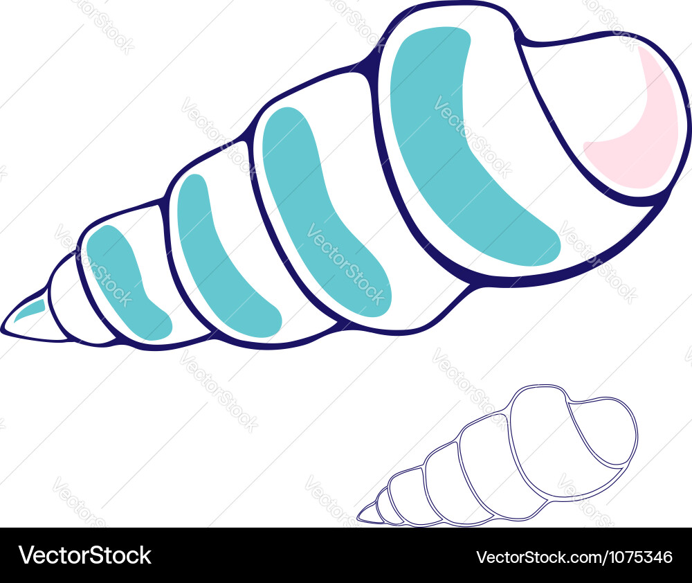 Sea shell Royalty Free Vector Image - VectorStock