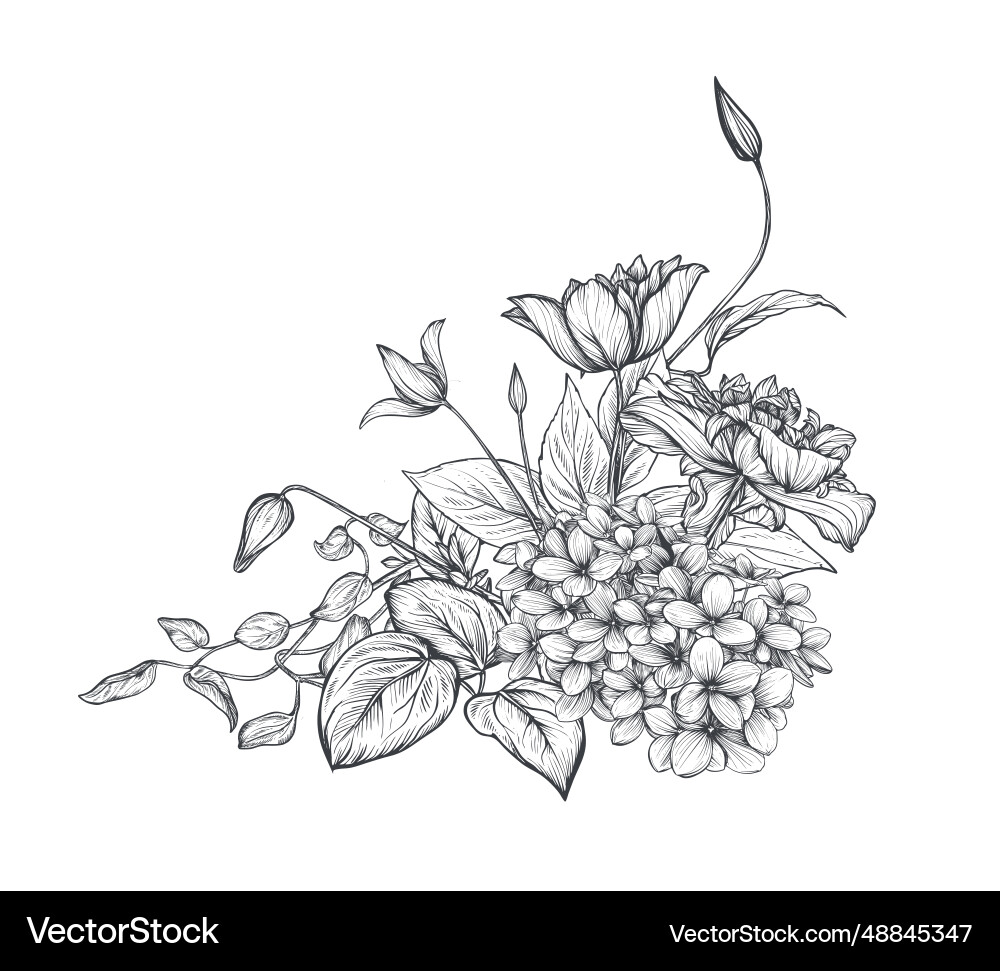 Hydrangea Outline Vector Images (over 1,200)