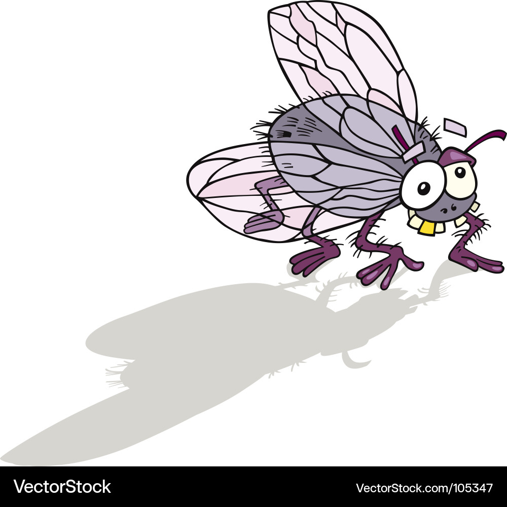 Funny fly Royalty Free Vector Image - VectorStock