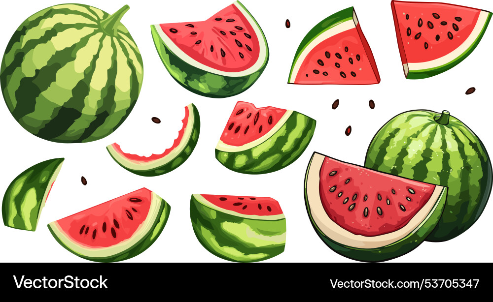 Watermelon set triangular slices full fruit Vector Image