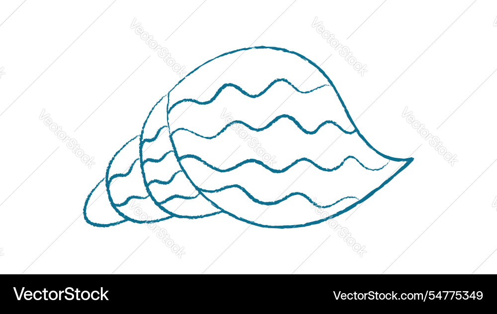 Chalk seashell doodle Royalty Free Vector Image