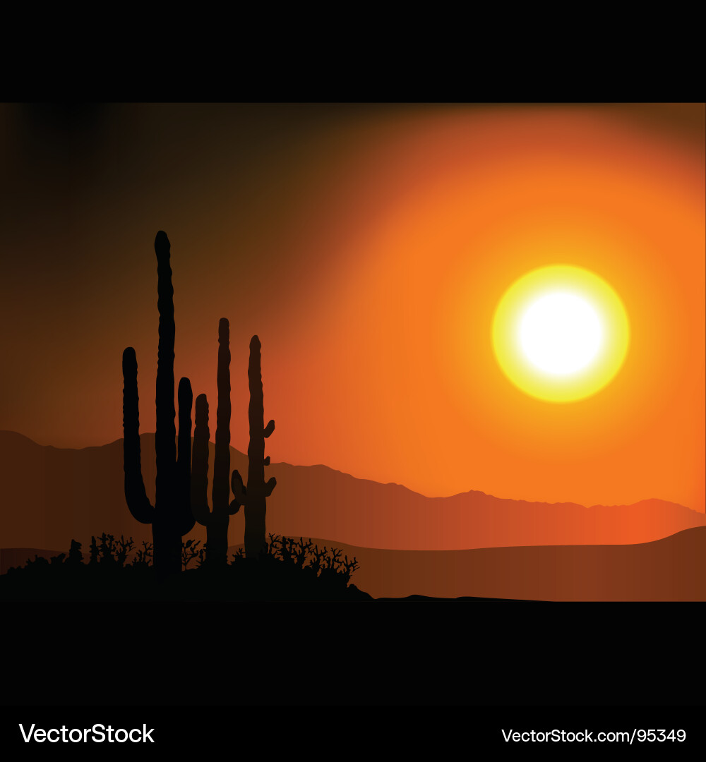 Sunset Royalty Free Vector Image - VectorStock