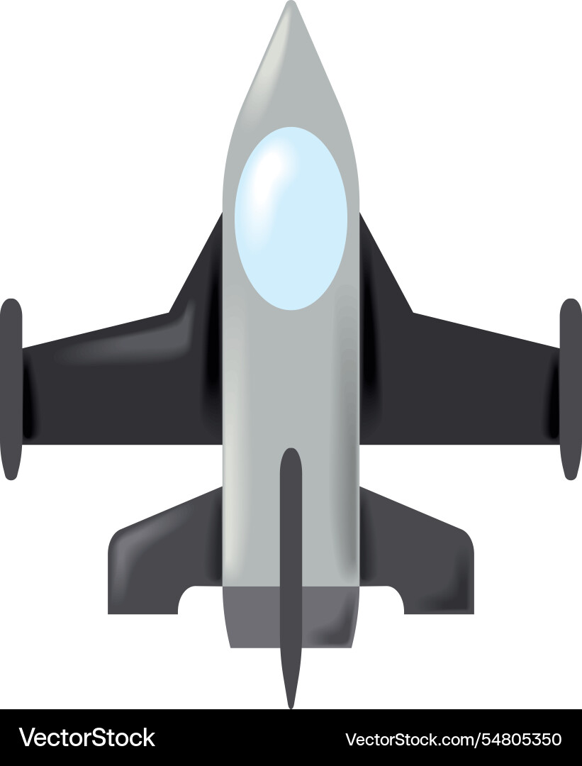 Air force aircraft flying Royalty Free Vector Image