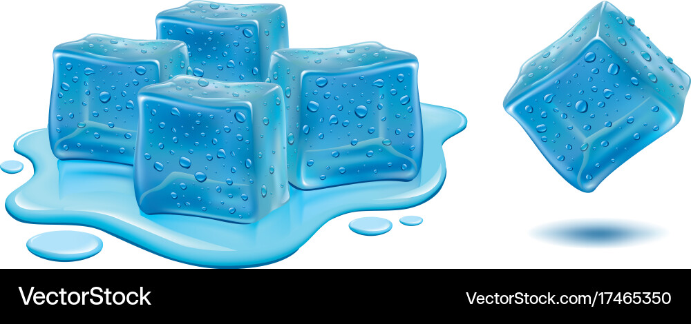Ice cubes with water drops Royalty Free Vector Image
