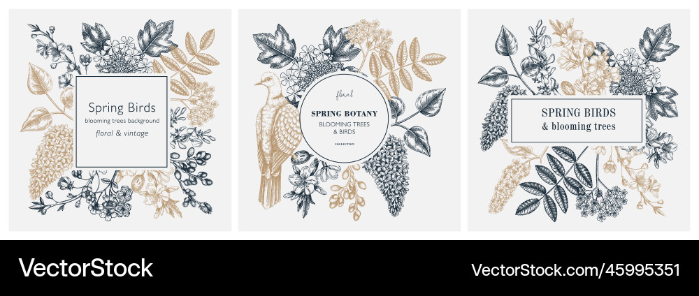 Blooming branches hand drawn frame templates Vector Image