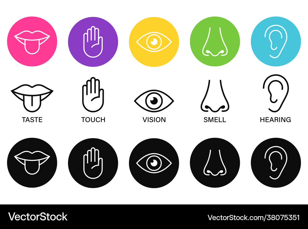 Five Senses Icons - Human Nervous System Vector Image