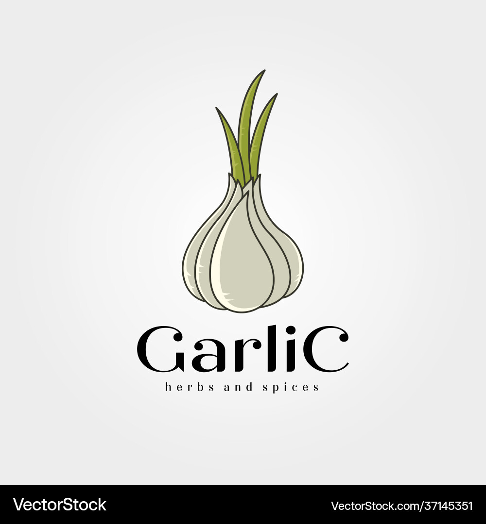 Garlic and shoot logo symbol design spices Vector Image