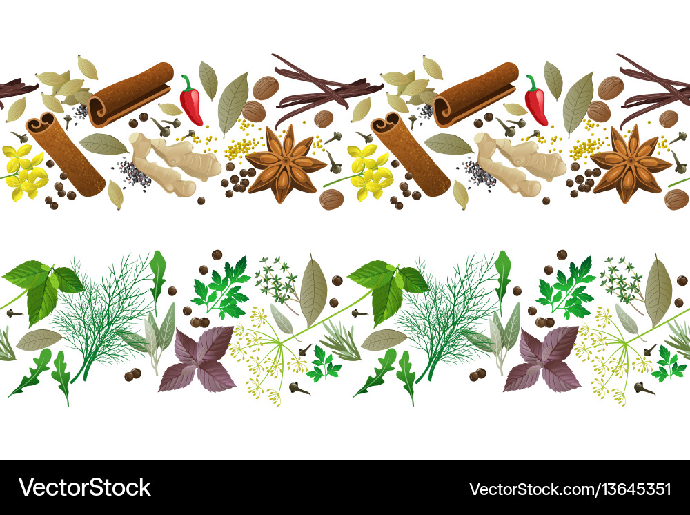 Herbs and spices seamless borders Royalty Free Vector Image