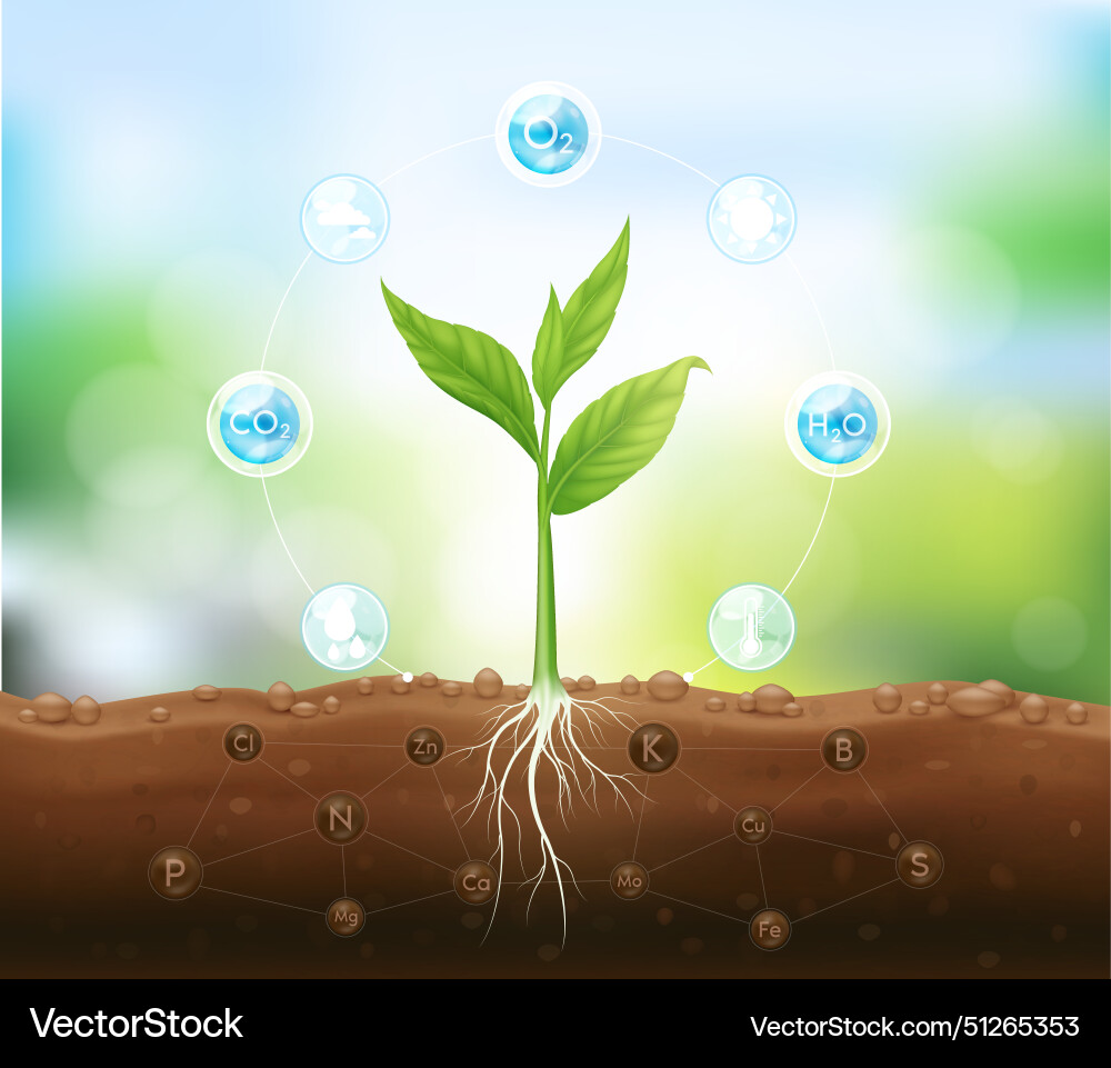 Fertilizer1 Royalty Free Vector Image - VectorStock